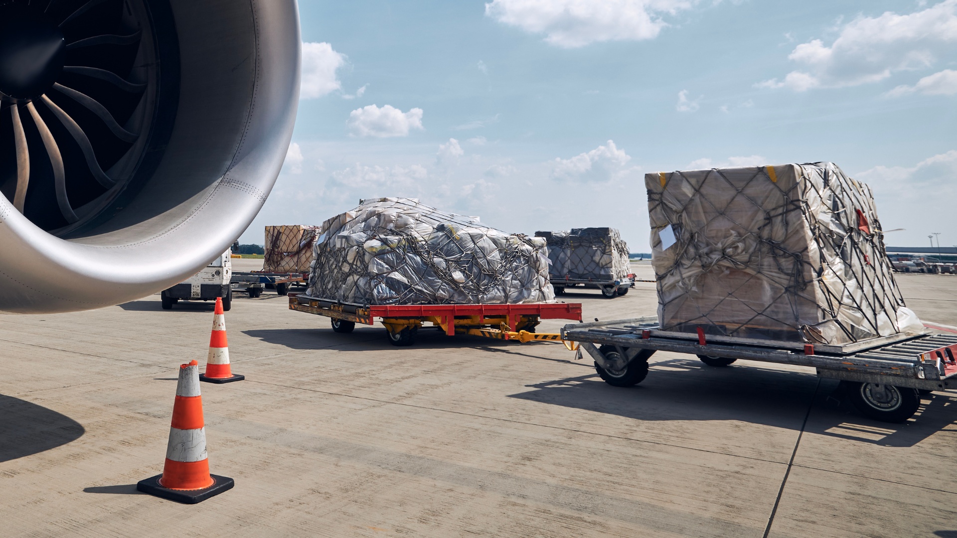 P1P/PAG Palle - FREJA Norway